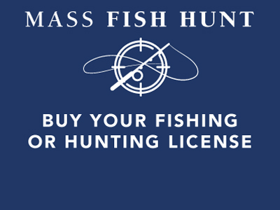 Department of Fish and Game | Mass.gov