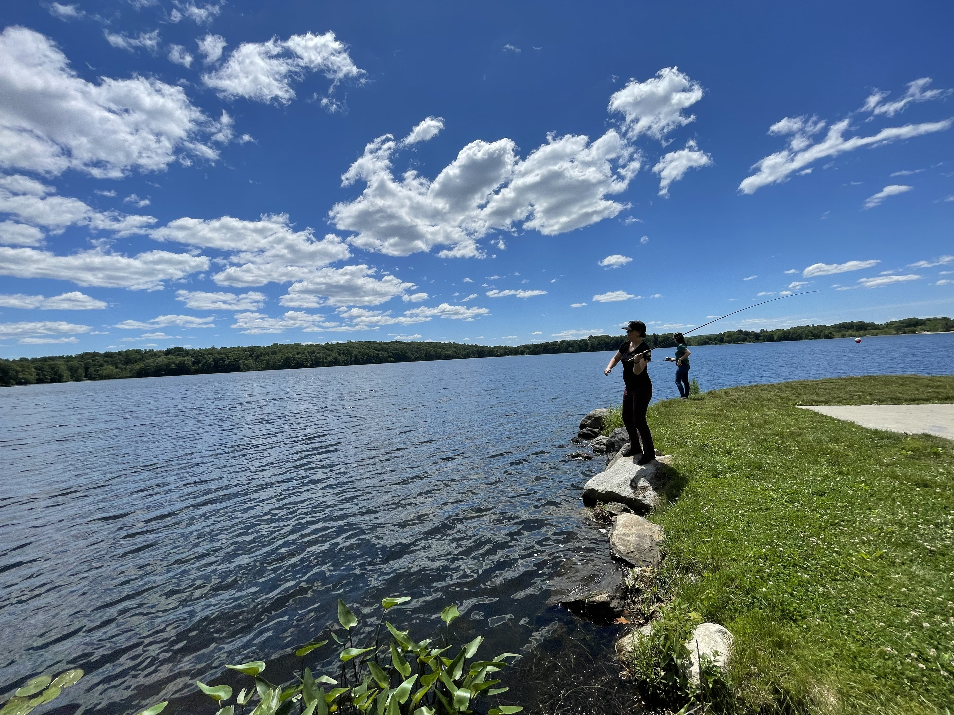 How to Use MassFishHunt | Mass.gov