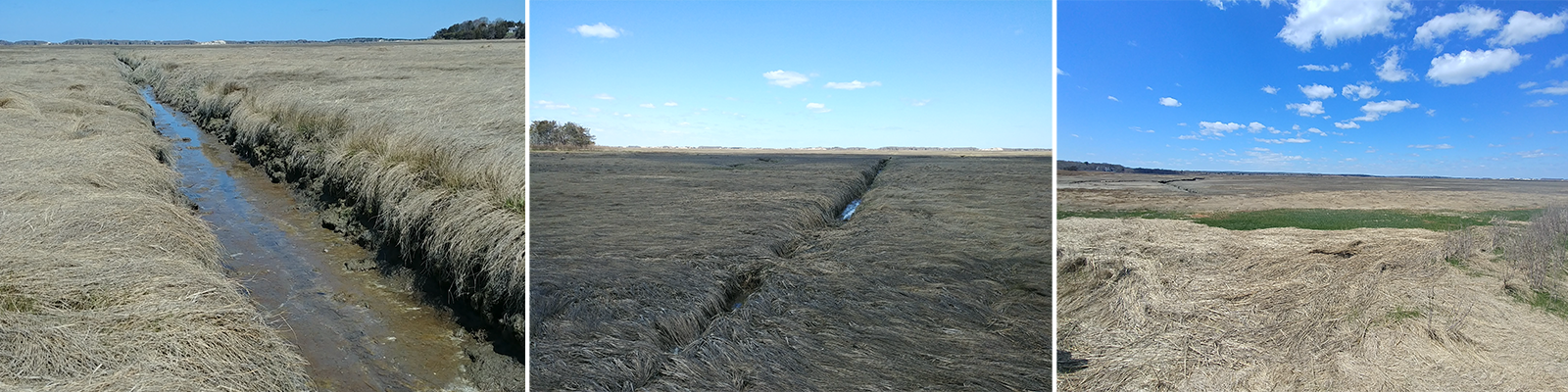Barnstable Great Marsh Restoration | Mass.gov