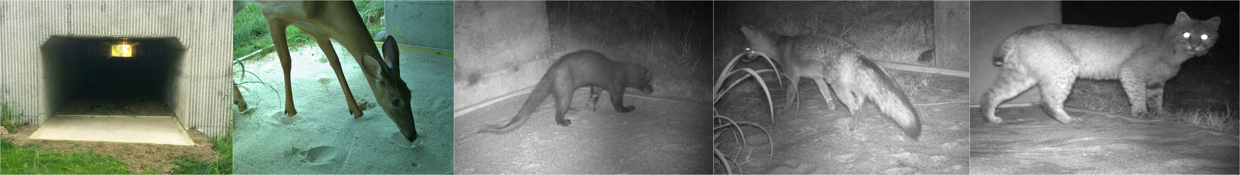 Connecting landscape through resilient infrastructure | Mass.gov