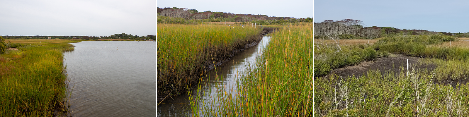 Scantic River Preservation Project | Mass.gov