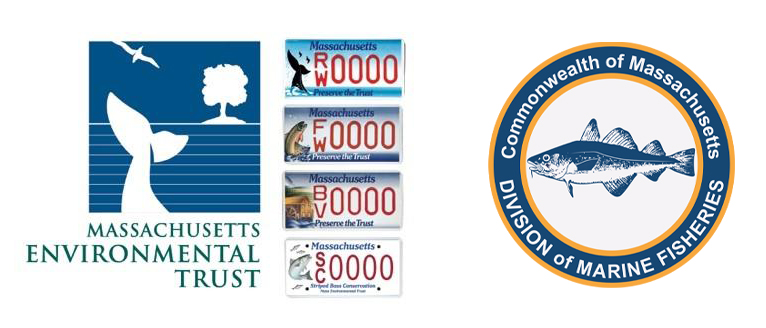 Massachusetts Striped Bass Conservation License Plate | Mass.gov