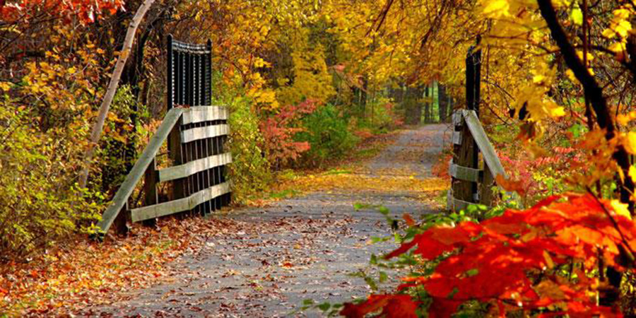 Fall Foliage Season in the Parks | Mass.gov