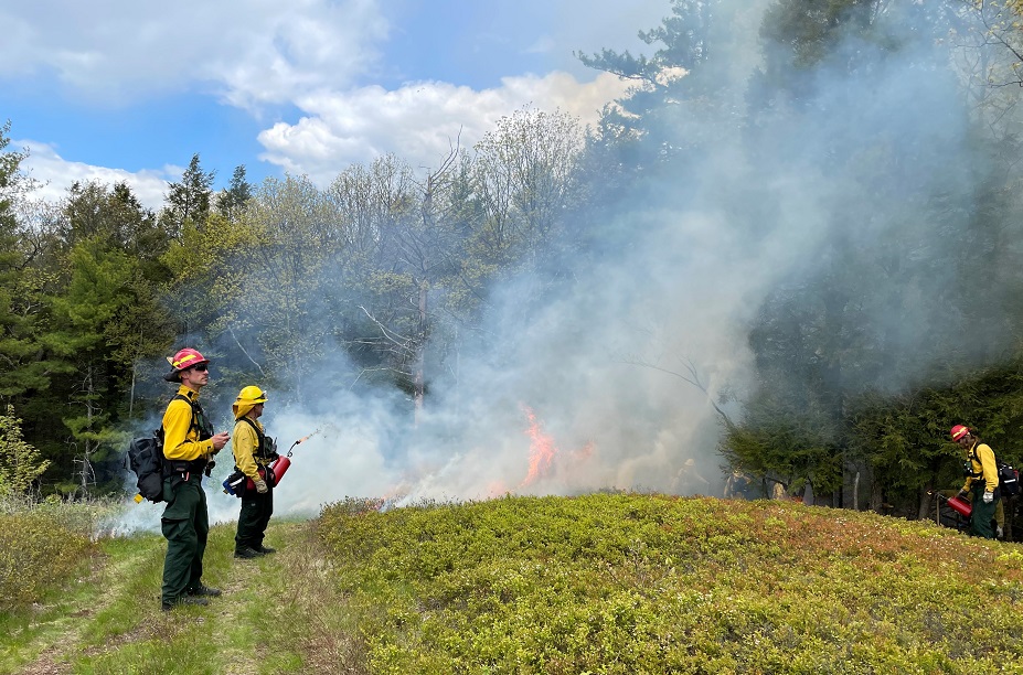 Prescribed fire for habitat management | Mass.gov