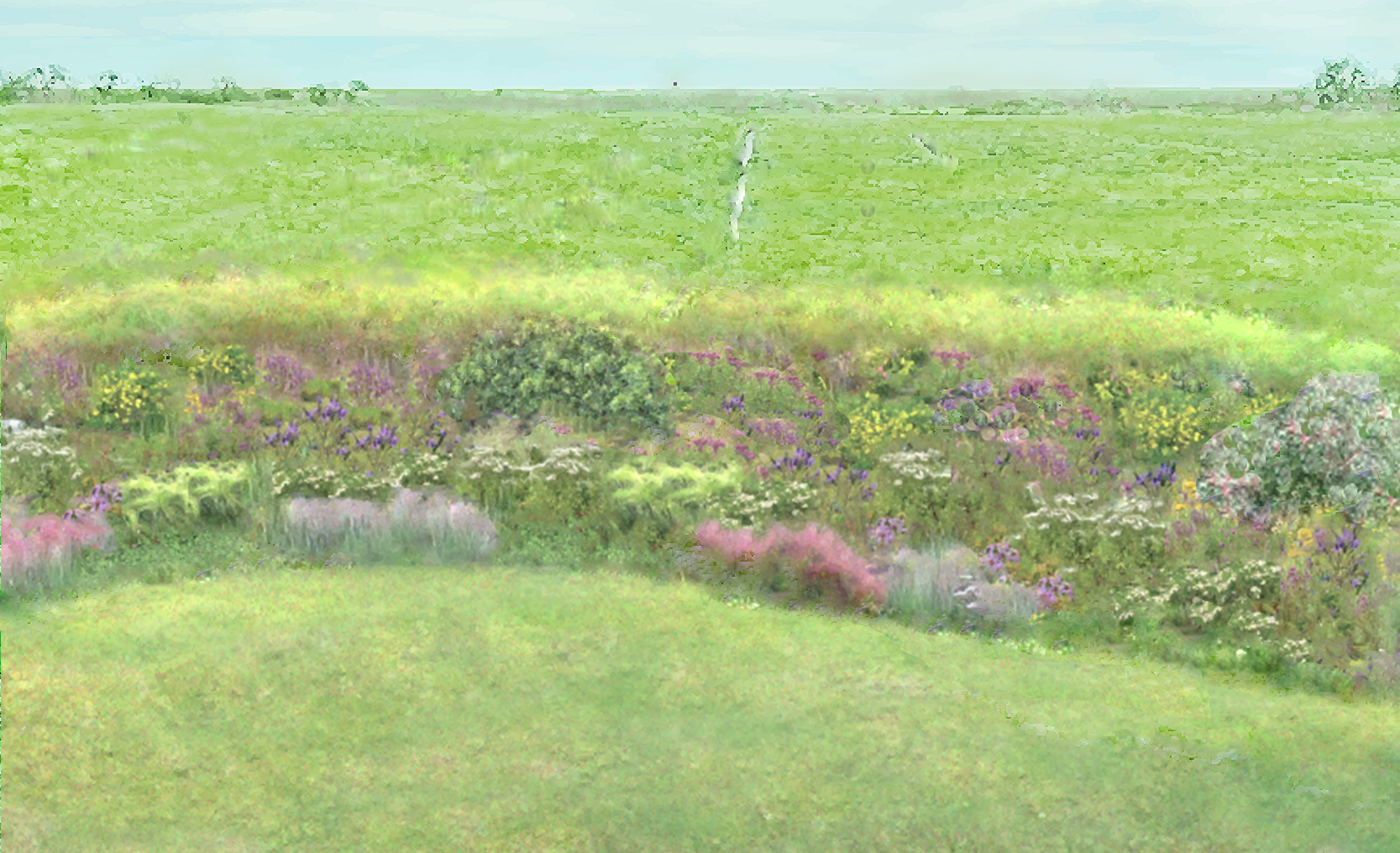Sample Landscape Plan for a Meadow Buffer to Salt Marsh | Mass.gov