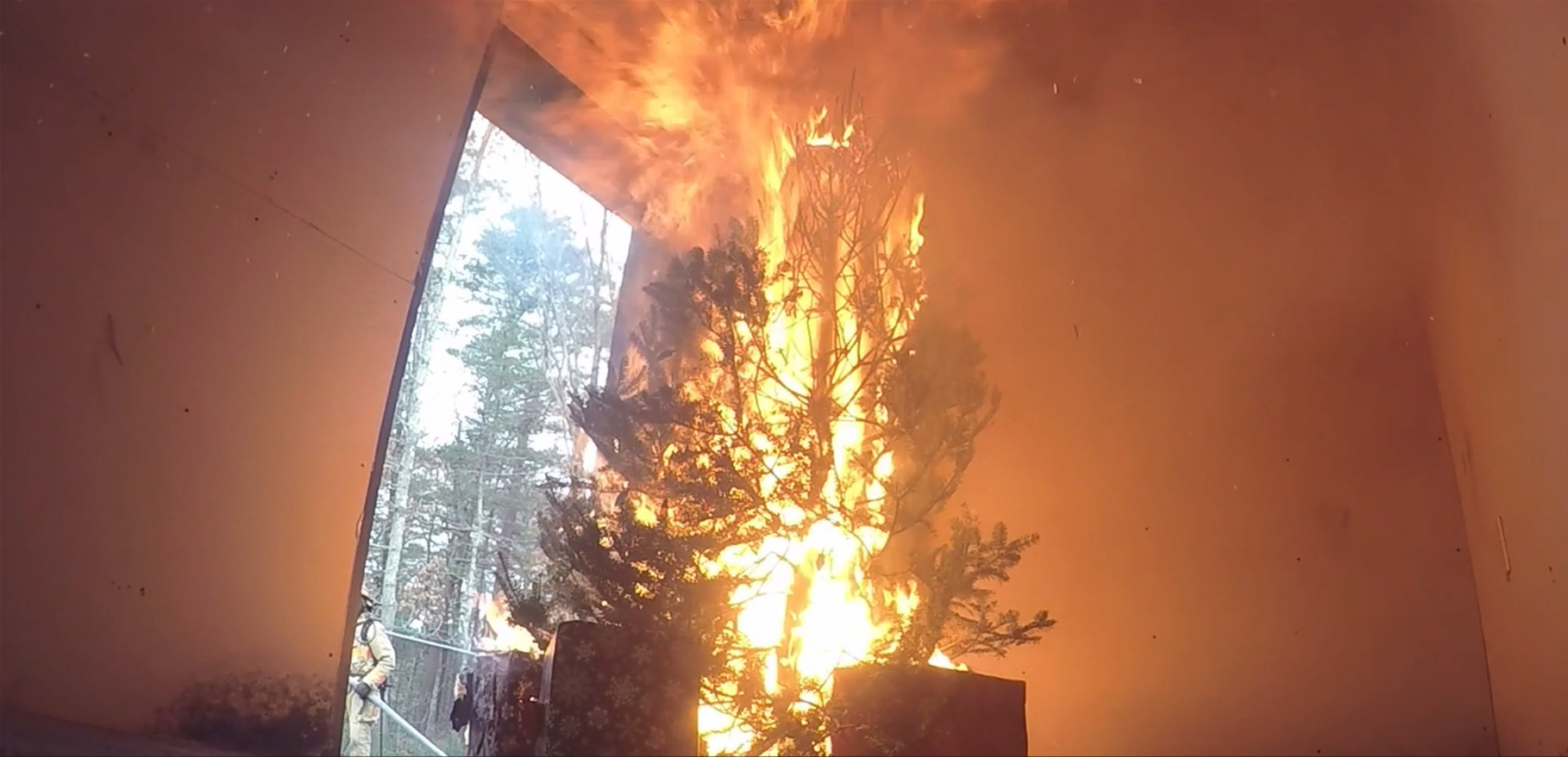 Christmas Tree and Decoration Safety | Mass.gov