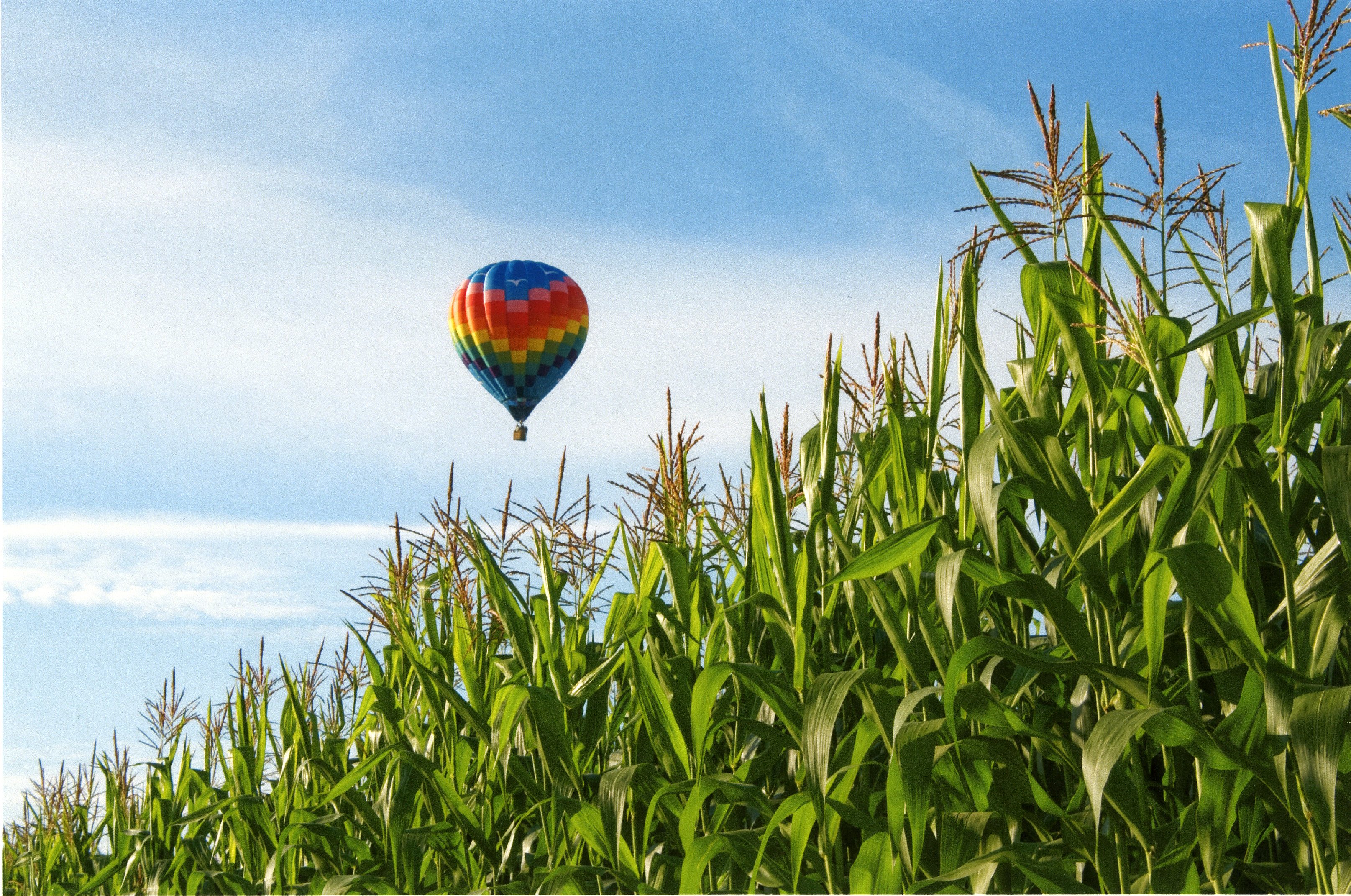 MDAR's Language Access Services | Mass.gov