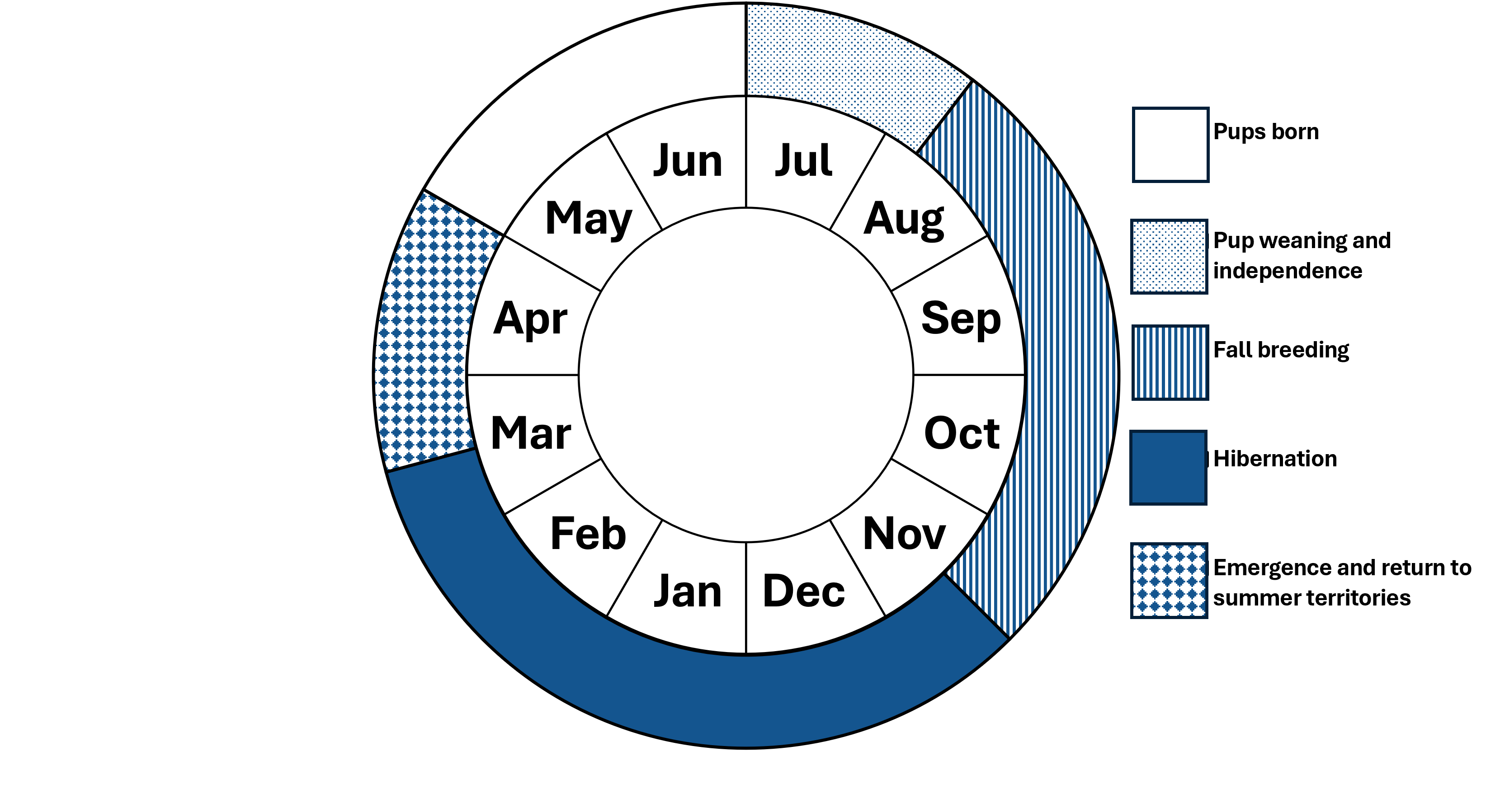 Eastern Small-footed Bat | Mass.gov