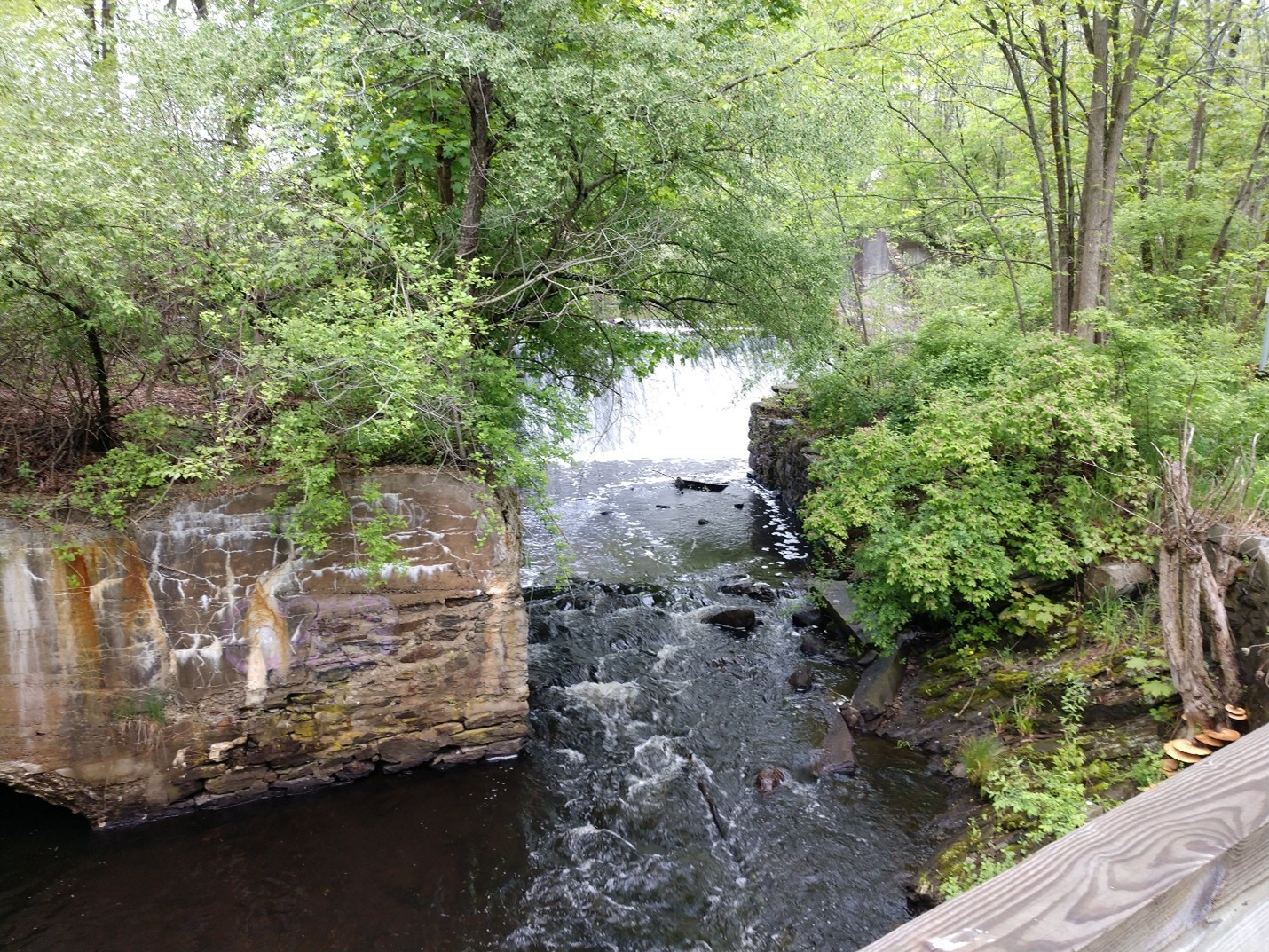 Lowe's Pond Dam Project | Mass.gov