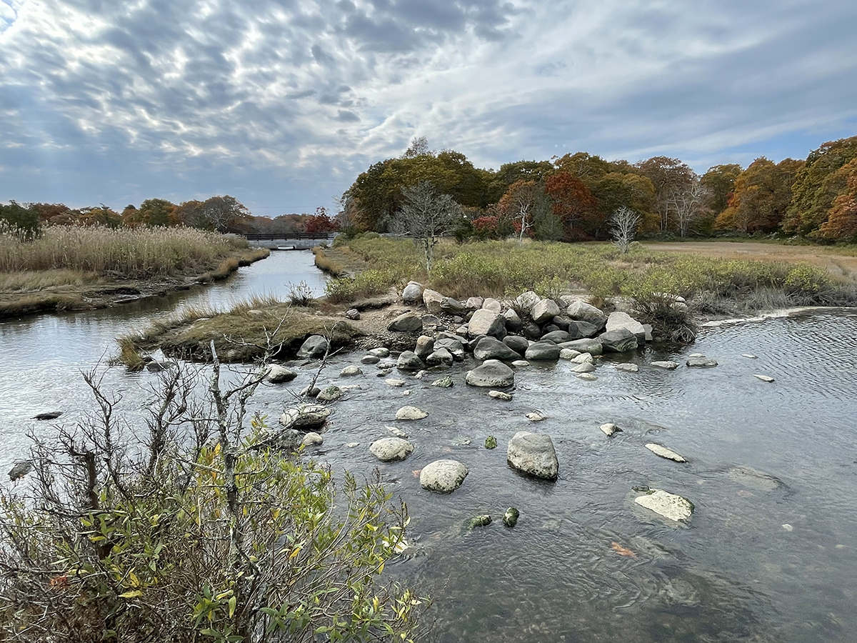 Demarest Lloyd State Park Ecological Restoration Concept Design and ...