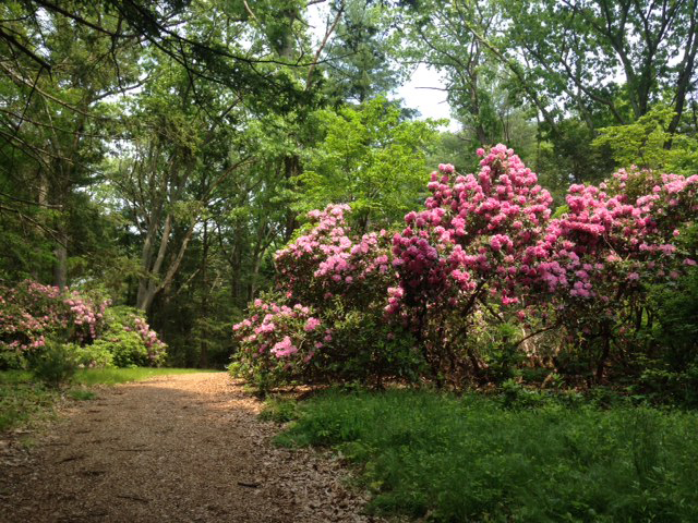 Massachusetts State Parks Programs and Events | Mass.gov