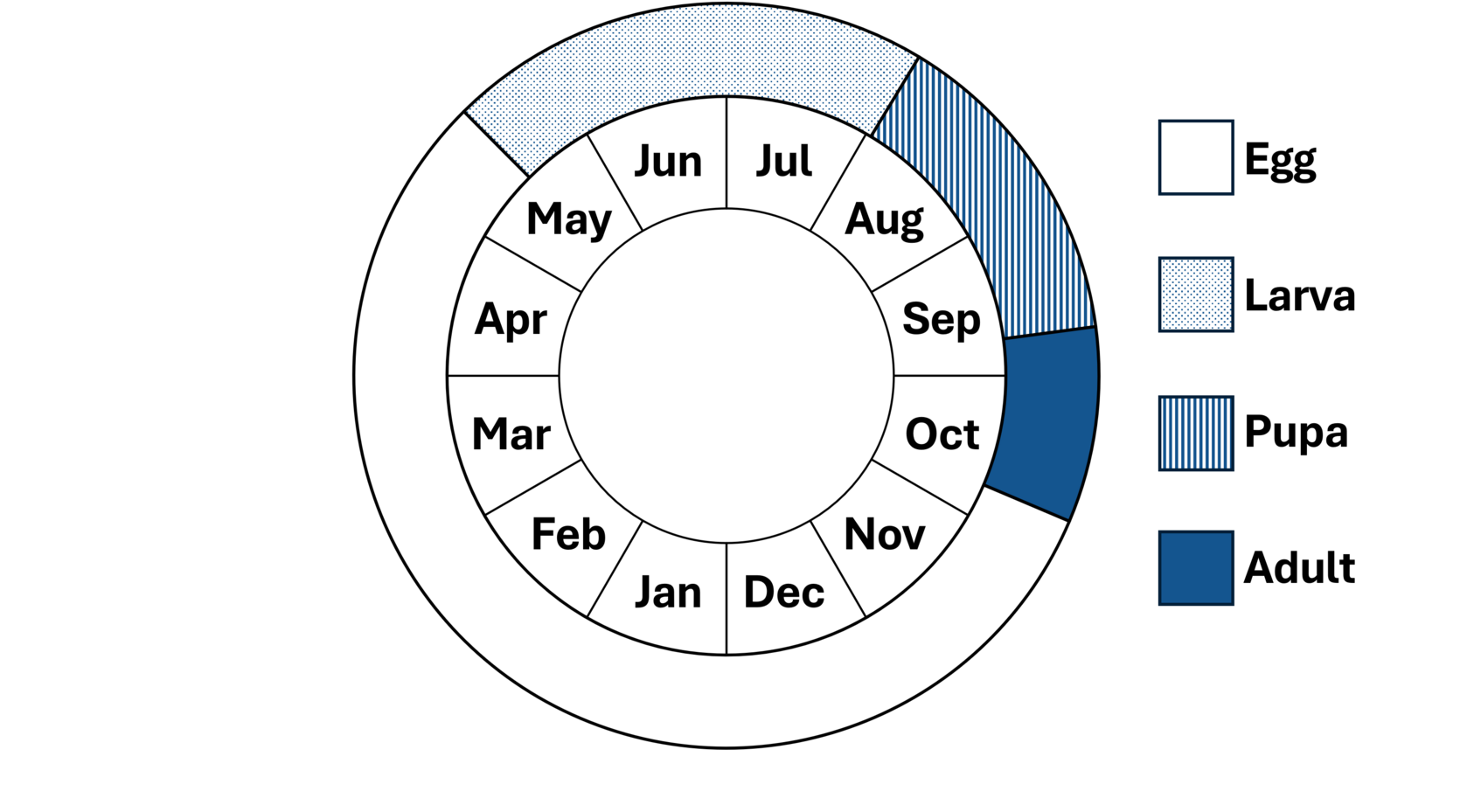 Buck Moth | Mass.gov