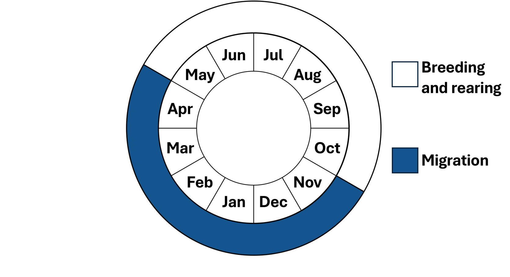 Snowy Owl | Mass.gov