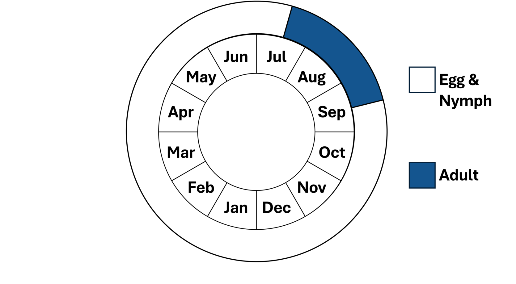Zebra Clubtail | Mass.gov