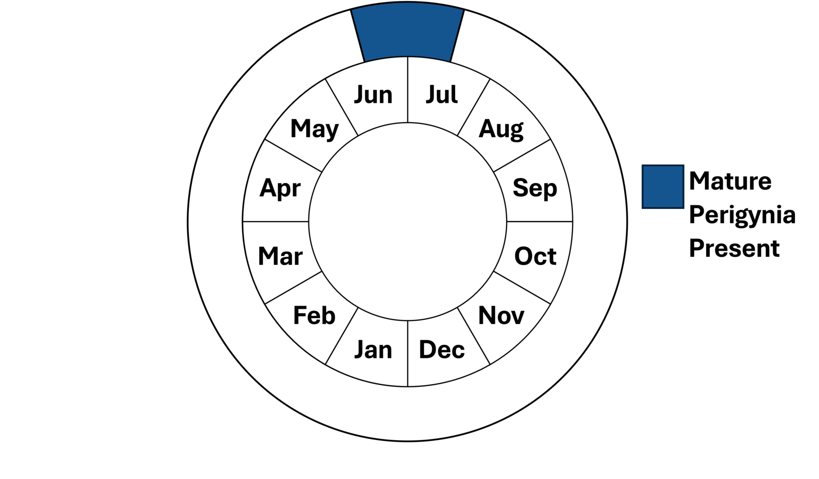 Slender Woodland Sedge | Mass.gov