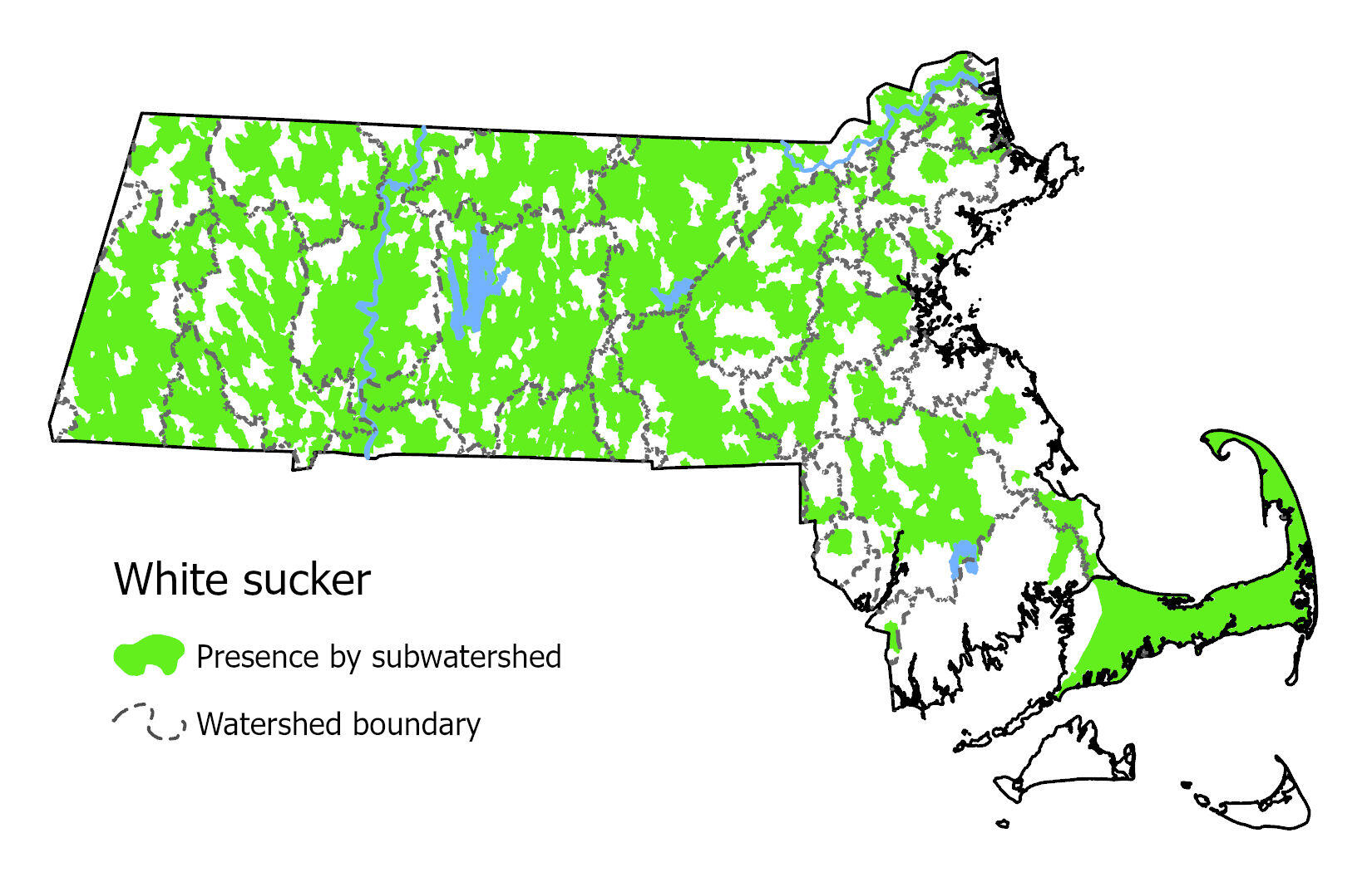 White Sucker | Mass.gov