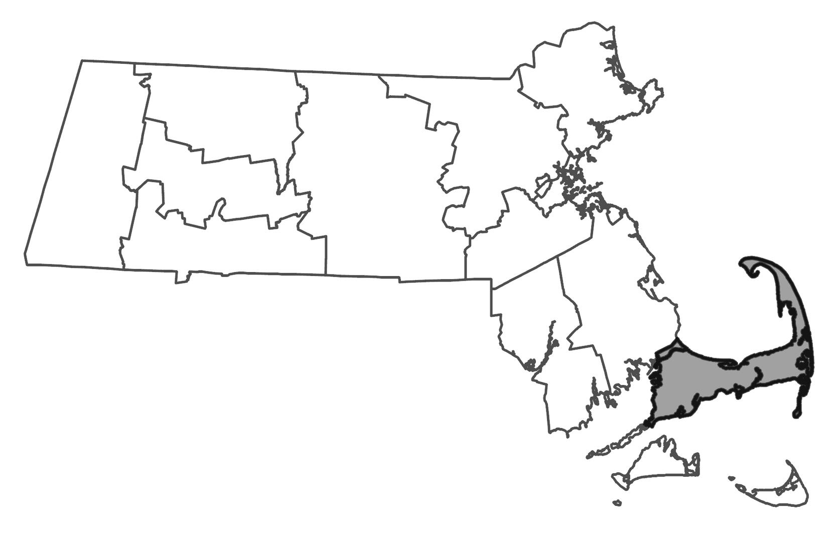 American Chaffseed | Mass.gov