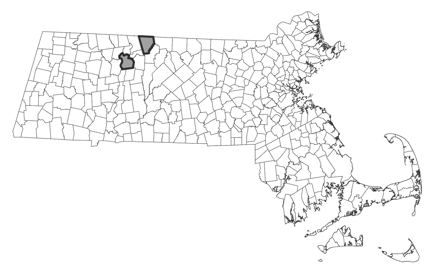 Northeastern Bulrush | Mass.gov
