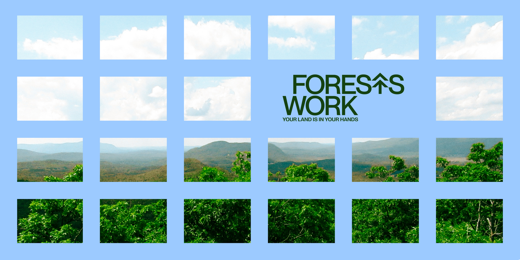 ForestsWork | Mass.gov