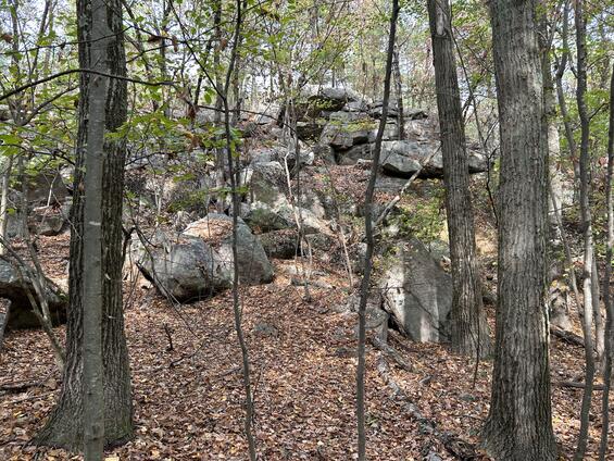 Healey-Driscoll Administration Awards $5 Million for Protection of ...
