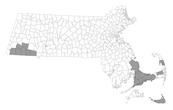 New England Cottontail | Mass.gov