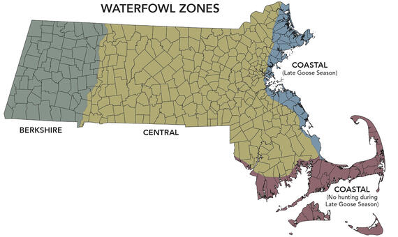 Migratory game bird hunting regulations | Mass.gov