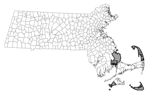 Broom Crowberry | Mass.gov