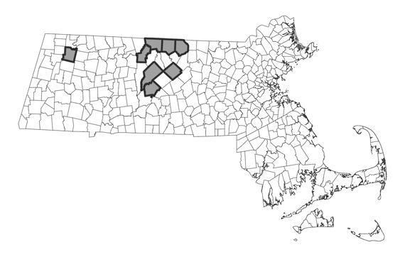 Floating Bur-reed | Mass.gov