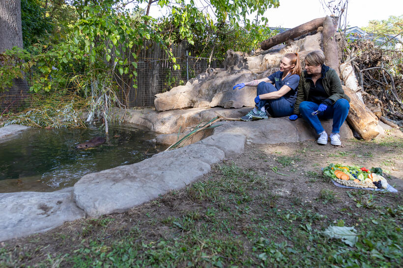 PHOTO RELEASE: Governor Healey Visits Nibi the Beaver | Mass.gov