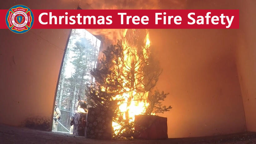 State Fire Marshal Reminds Residents of Christmas Tree Fire Hazards ...
