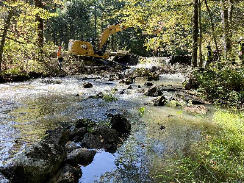 Division of Ecological Restoration Releases 2025 Annual Report ...
