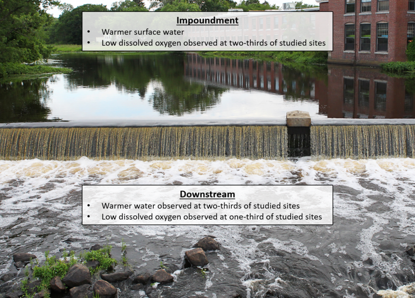 Small Dams Have Large Impacts on Water Quality | Mass.gov