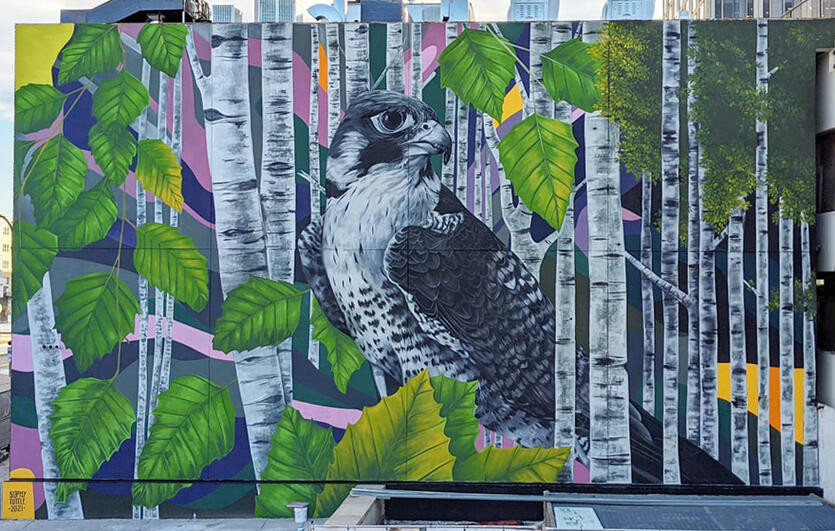 New peregrine falcon mural and nest box unveiled in Worcester | Mass.gov