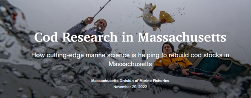 Cod Research | Mass.gov