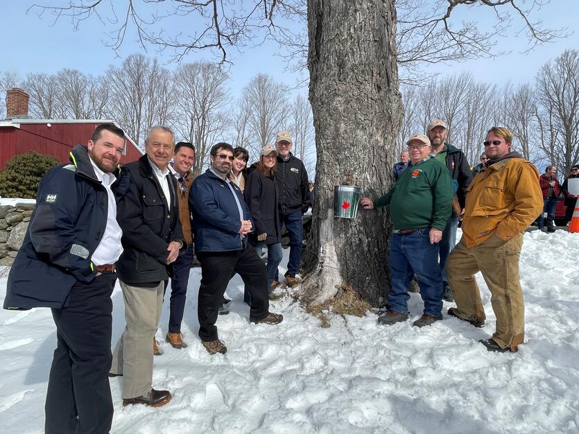 Healey-Driscoll Administration Declares March “Massachusetts Maple ...