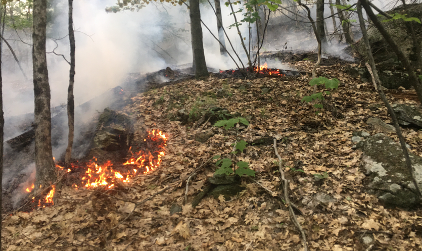Wildfire notice for outdoor users | Mass.gov