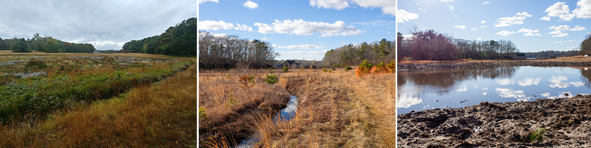 Chop Chaque Bog Restoration Project | Mass.gov
