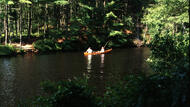 Freetown-Fall River State Forest | Mass.gov