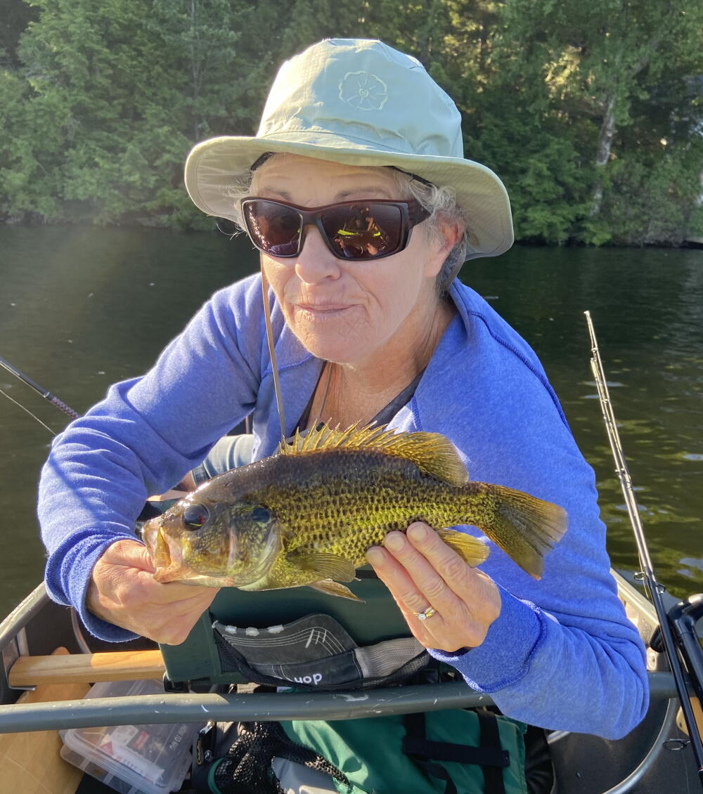 Panfish: How to catch, prepare, and cook | Mass.gov