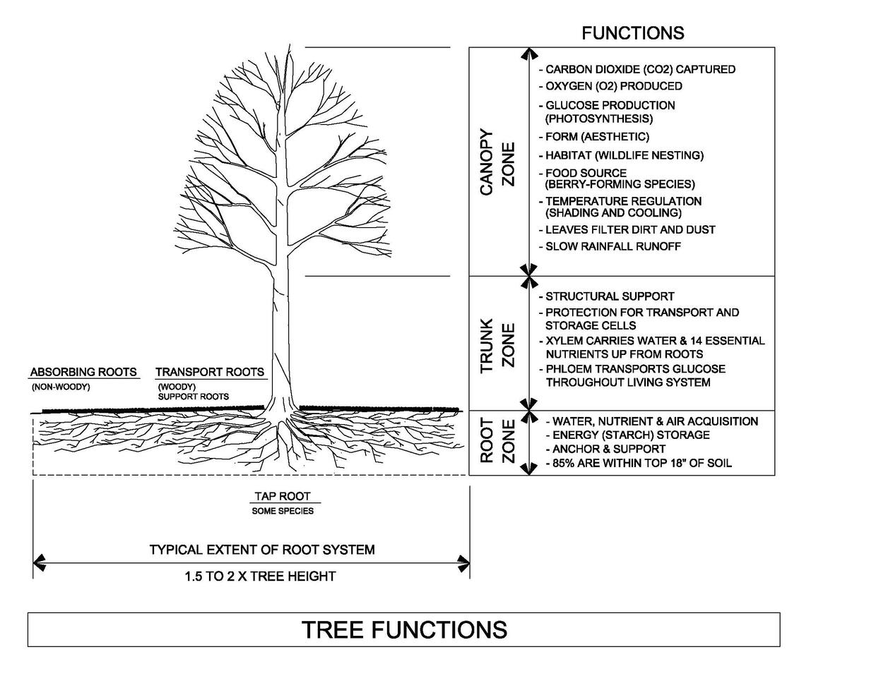 PDDG Chapter 13 - Landscape Design | Mass.gov