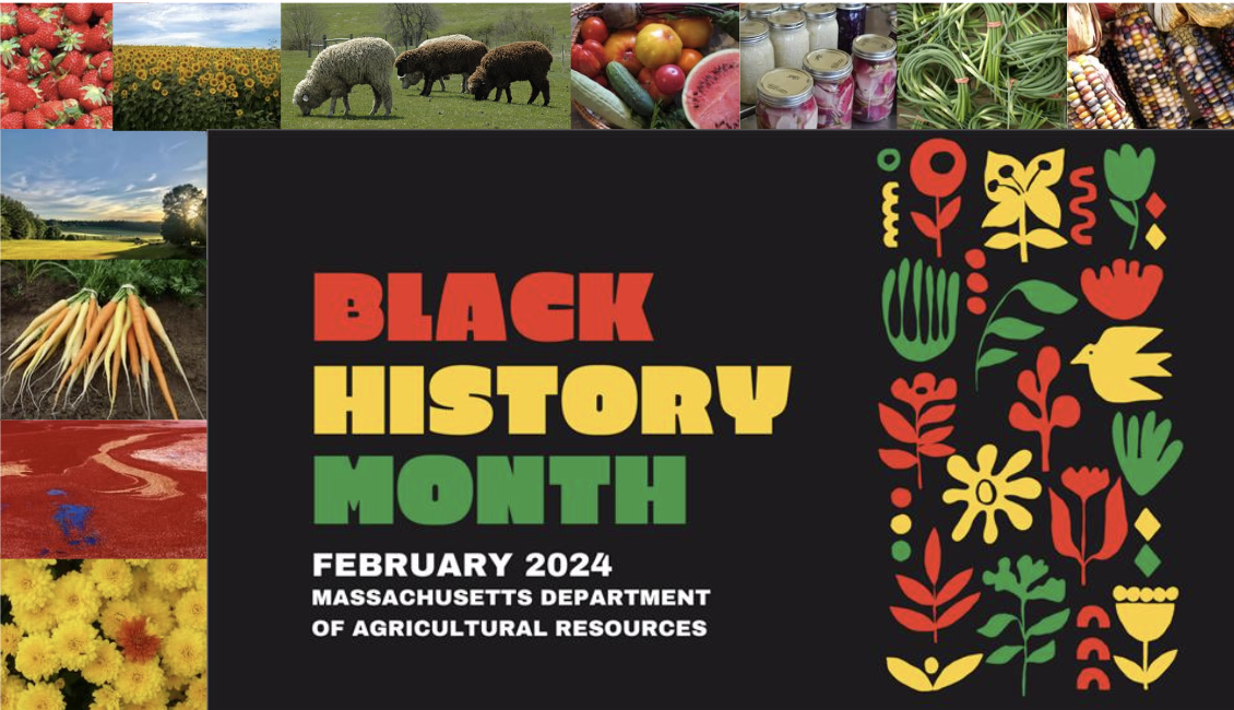 Celebrating Black Farmers in Massachusetts | Mass.gov