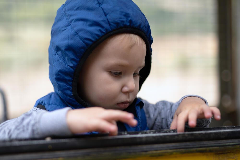 Division of Healthy Homes and Childhood Lead Poisoning Prevention ...