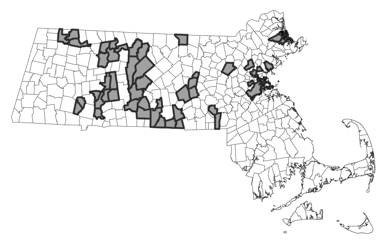 Orange Sallow Moth | Mass.gov
