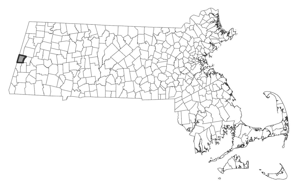 Creeping Sedge | Mass.gov