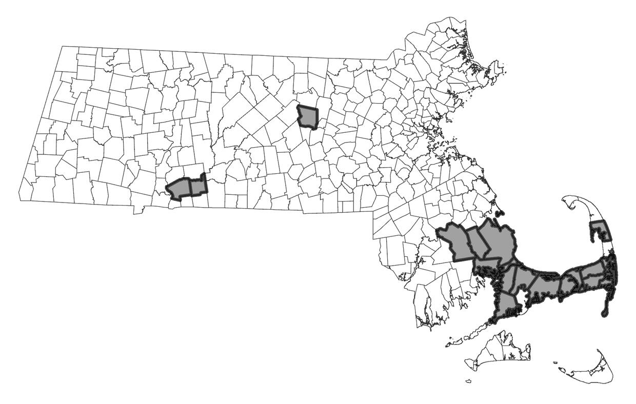Terete Arrowhead | Mass.gov
