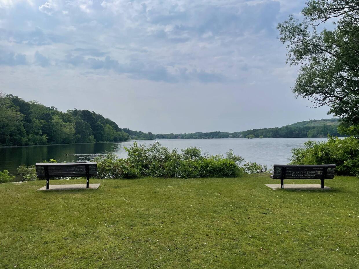 Horn Pond | Mass.gov