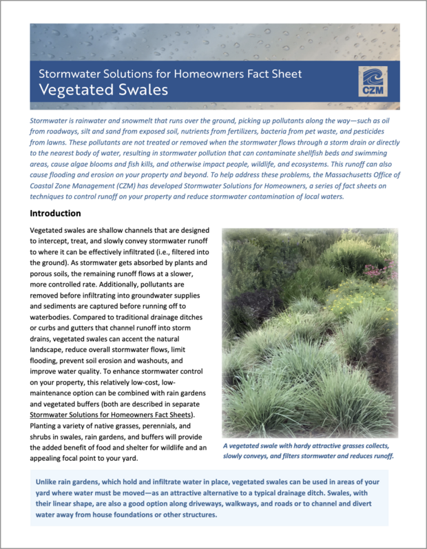 Stormwater Solutions for Homeowners Fact Sheet: Vegetated Swales | Mass.gov