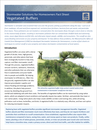 Stormwater Solutions for Homeowners Fact Sheet: Vegetated Swales | Mass.gov