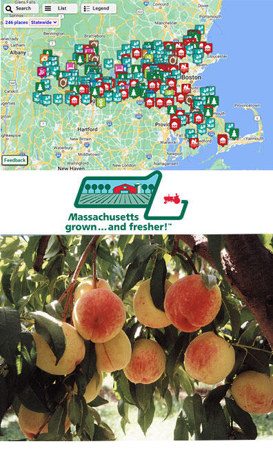 Massachusetts Grown...and Fresher! | Mass.gov