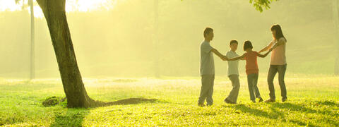 The Court Adoption Process | Mass.gov